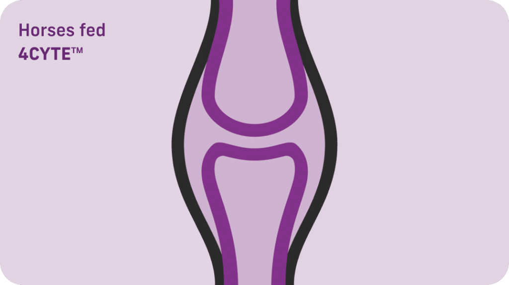 The Science - 4CYTE™ AU